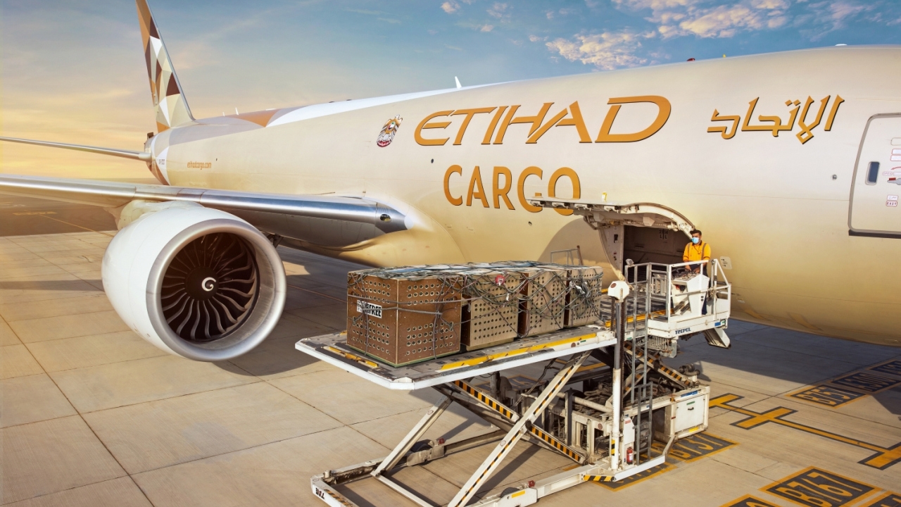 Etihad Cargo increases its belly hold cargo capacity | Times Aerospace
